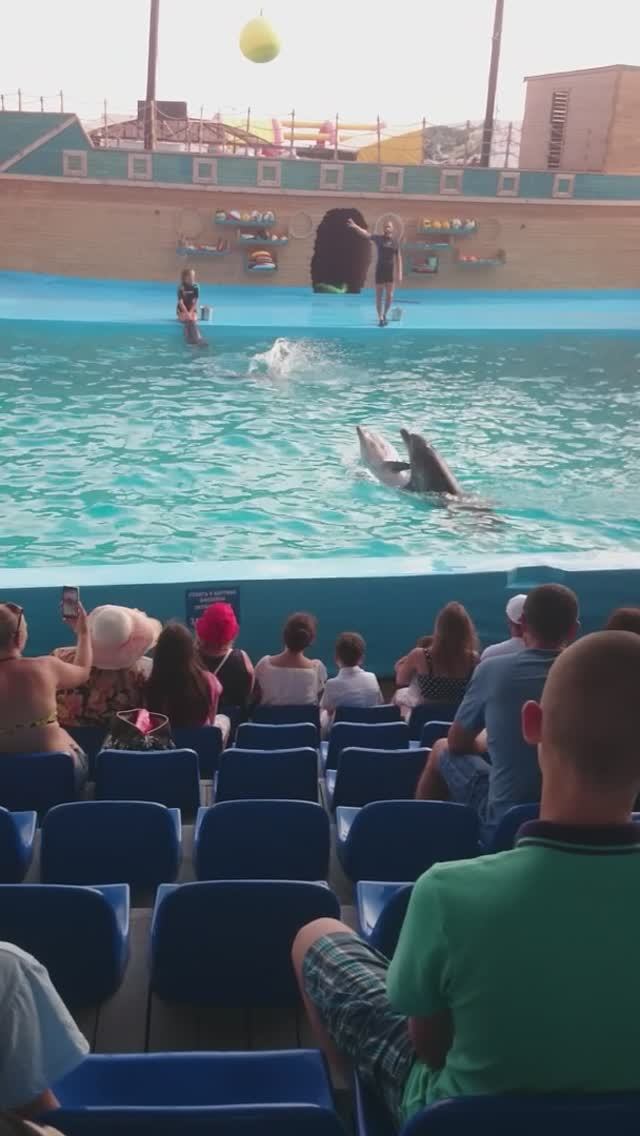 Архипо Осиповка . Дельфинарий. Черное море. Лето.