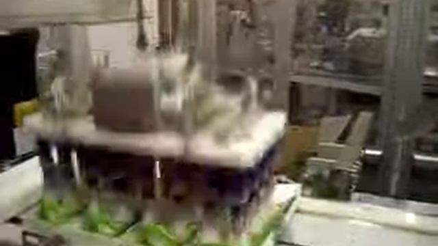 Линия групповой упаковки дой-пак, производства SACMI-(240p15).mkv