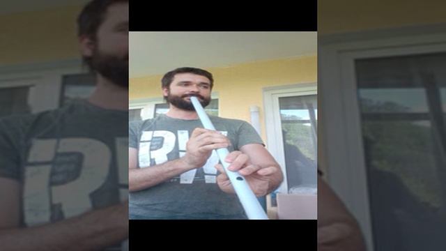 двухоктавная пластиковая Флейта в ля