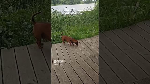 #моибудни (1)