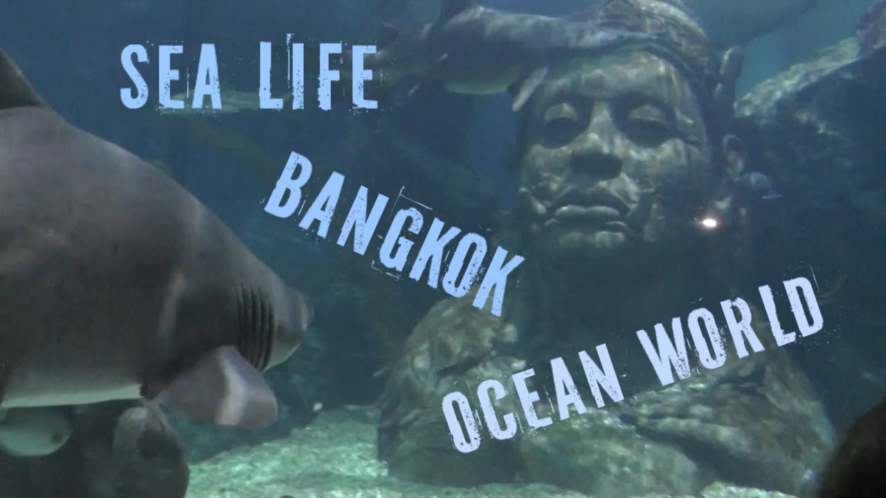 Океанариум в Бангкоке Sea Life Ocean World