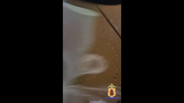 В Рязани задержан подозреваемый в сбыте метадона