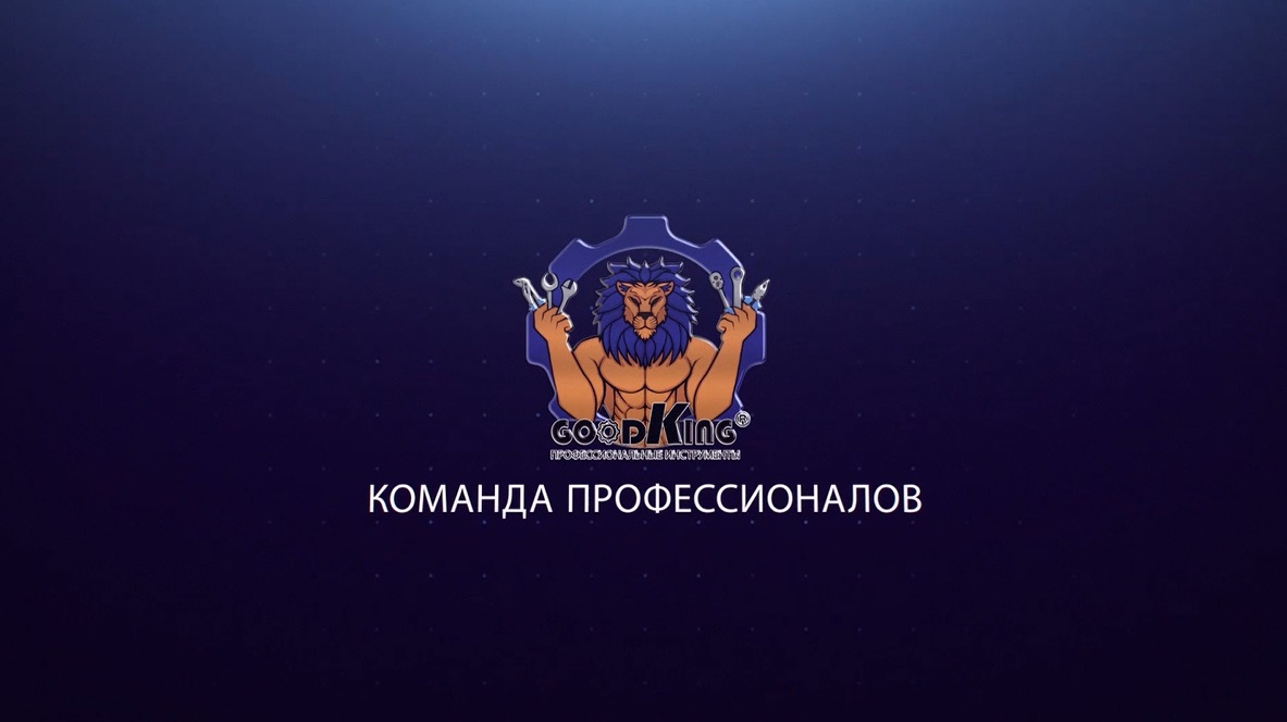 Команда GOODKING