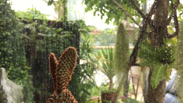 Расслабляющий шум дождя.mp4