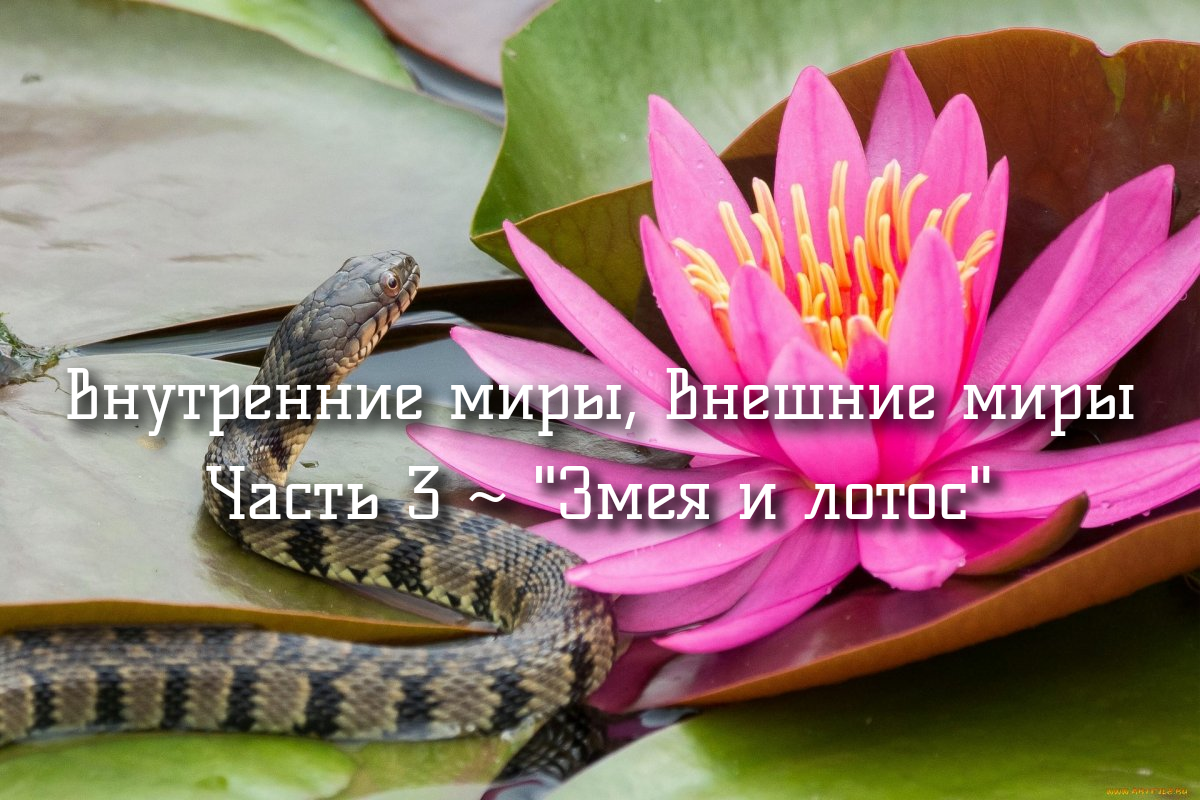 Внутренние миры, внешние миры. Часть 3 - "Змея и лотос".
