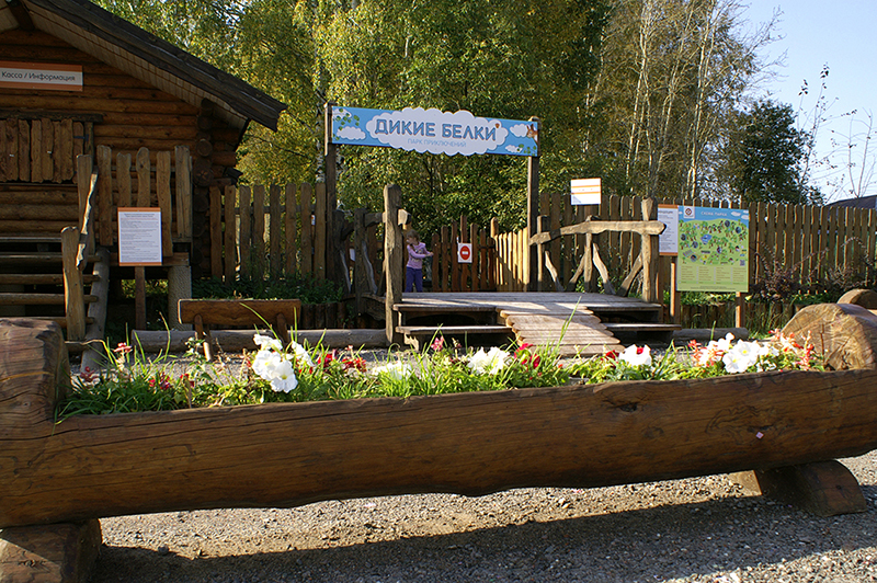 Прогулка по Парку приключений «Дикие белки» сезон 2015 г.