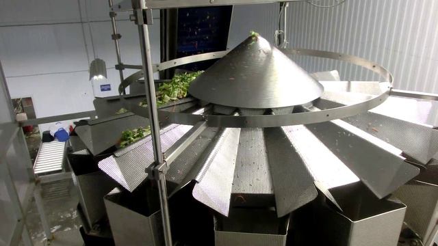 Дозирование и упаковка Салатов Signal-Pack