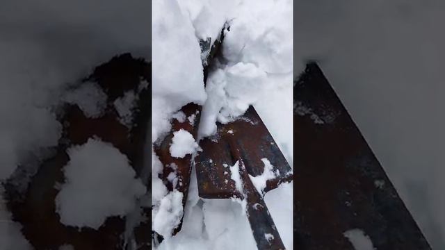 Бобика засыпало снегом