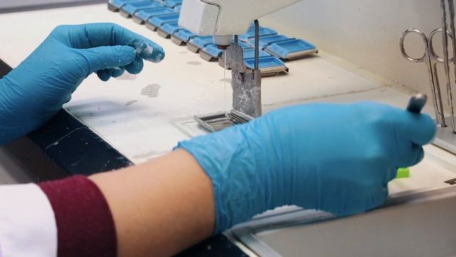 Гистологическое исследование.mp4