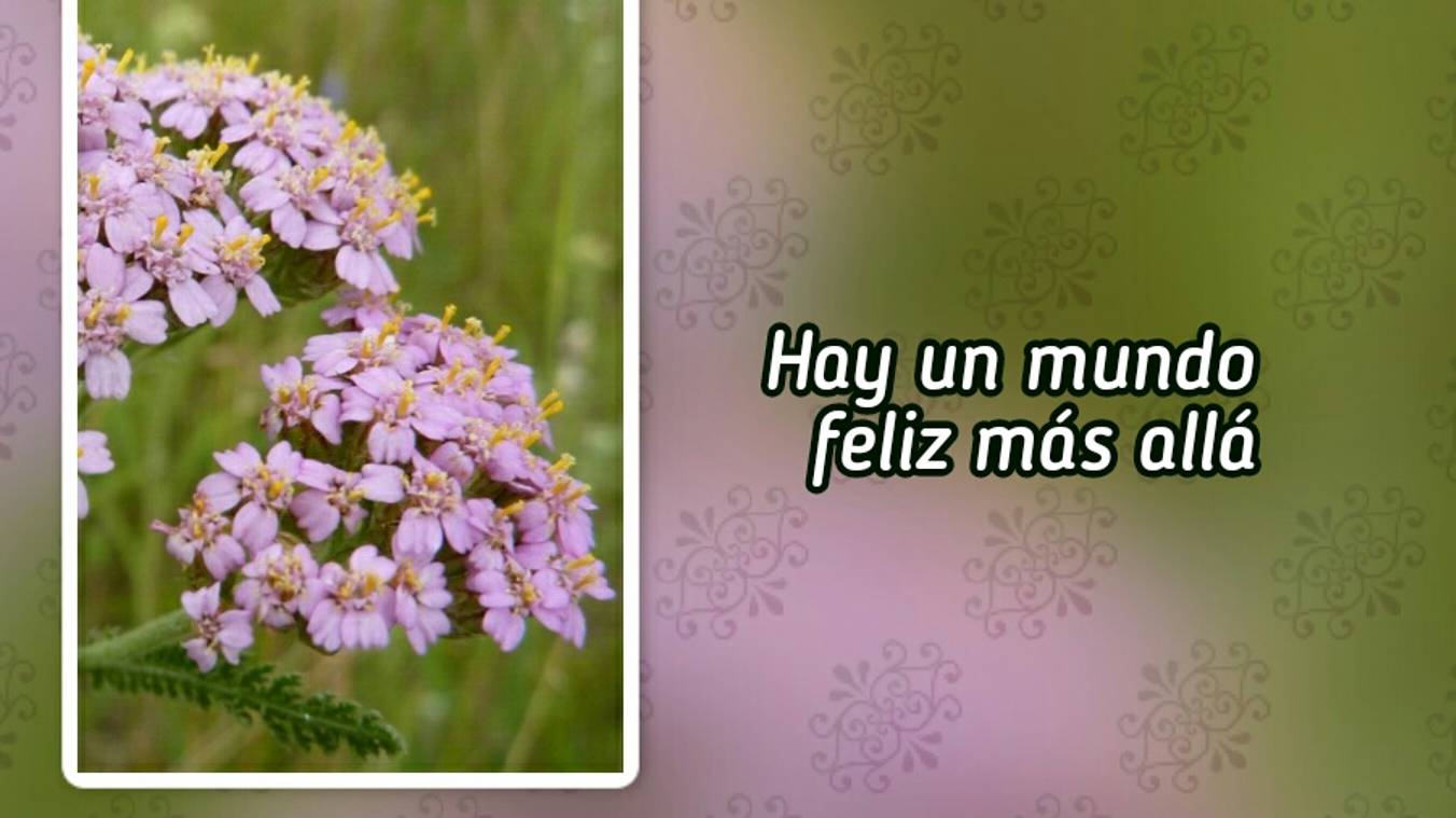 Himnario adventista 316 Hay un mundo feliz más allá (-)