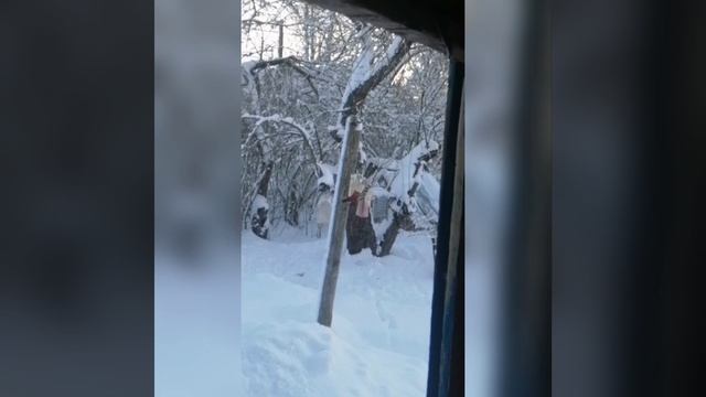 ДЯТЕЛ НА САЛО! ?