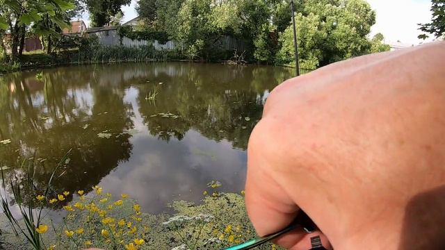 Мормышинг. Вечером на прудике-болотце