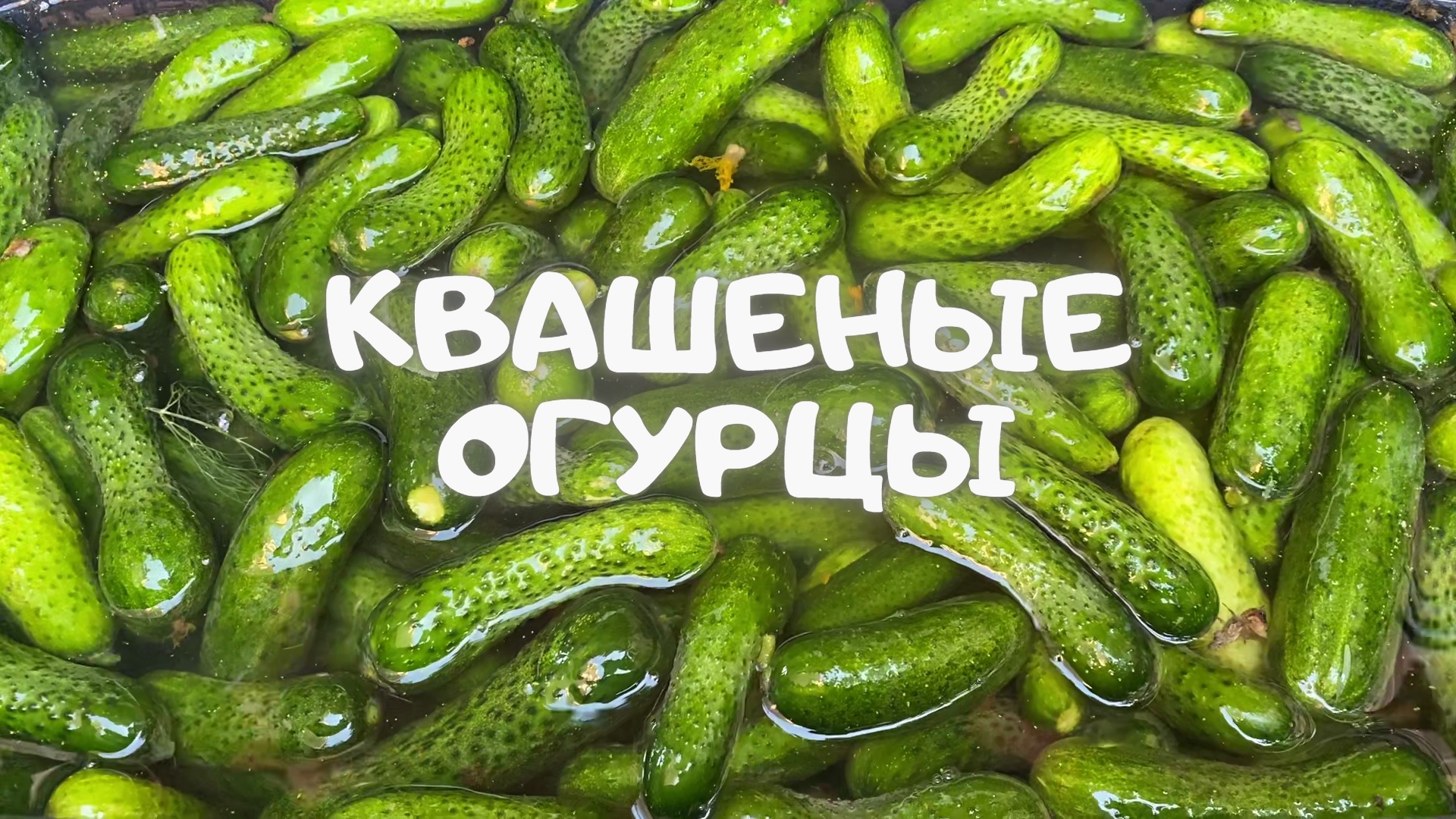 КВАШЕНЫЕ ОГУРЦЫ КАК ИЗ БОЧКИ