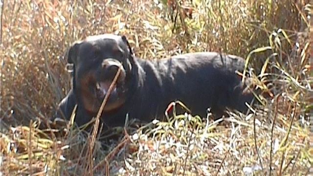 Сборник 2005 год Начало, часть 4