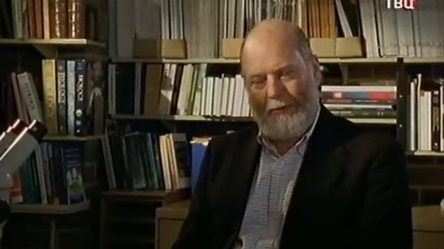 Муравьи (360p)