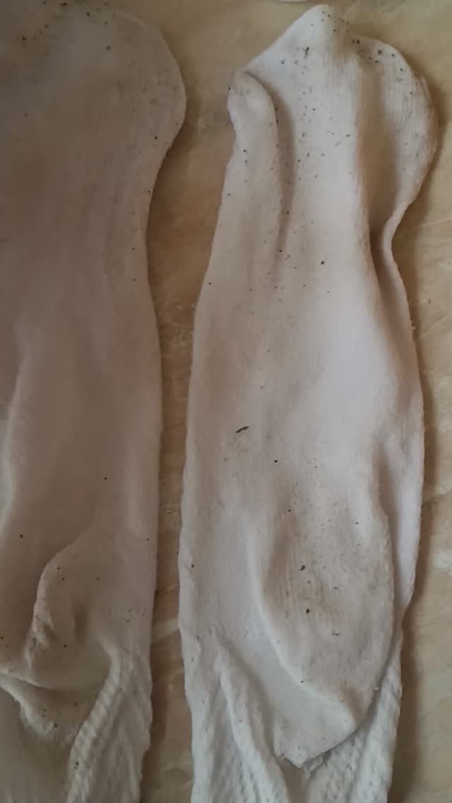 Как отстирывать белые гольфы. Проверяю лайфхак из сети