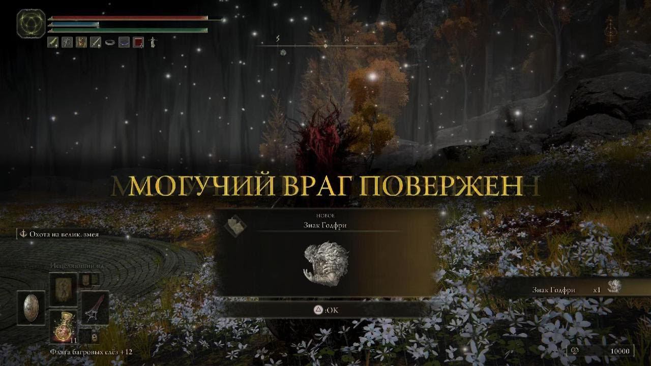 ELDEN RING - Годфрой Сторукий - Godefroy the Grafted