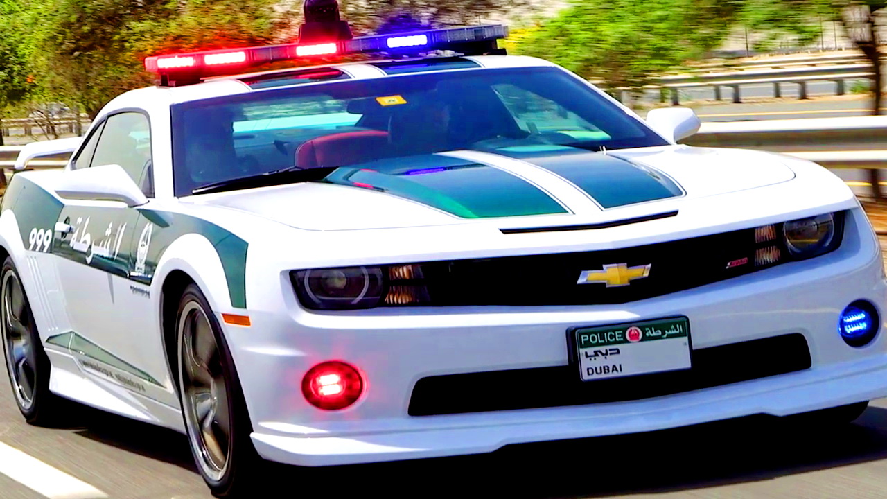 Полицейские Машины Изучаем Транспорт Развивающие Мультфильмы для Детей Мультики про Машинки