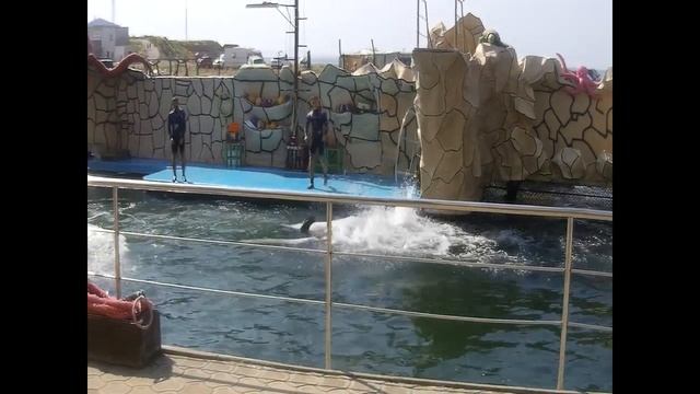 Большой Утриш. Дельфинарий в море.