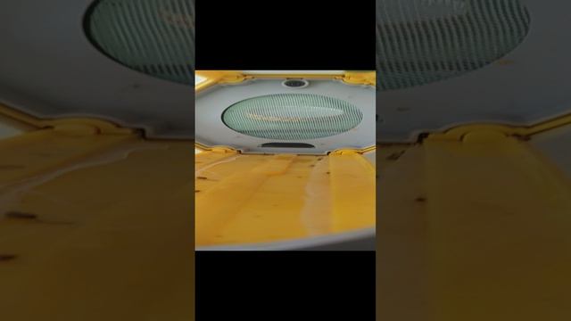 мой Богомол не ест