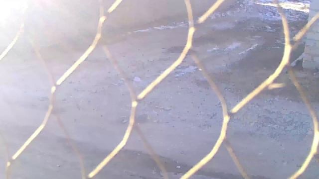 Кошку покормил, глаза закапал и посмотрел за гостями, какие приходят.