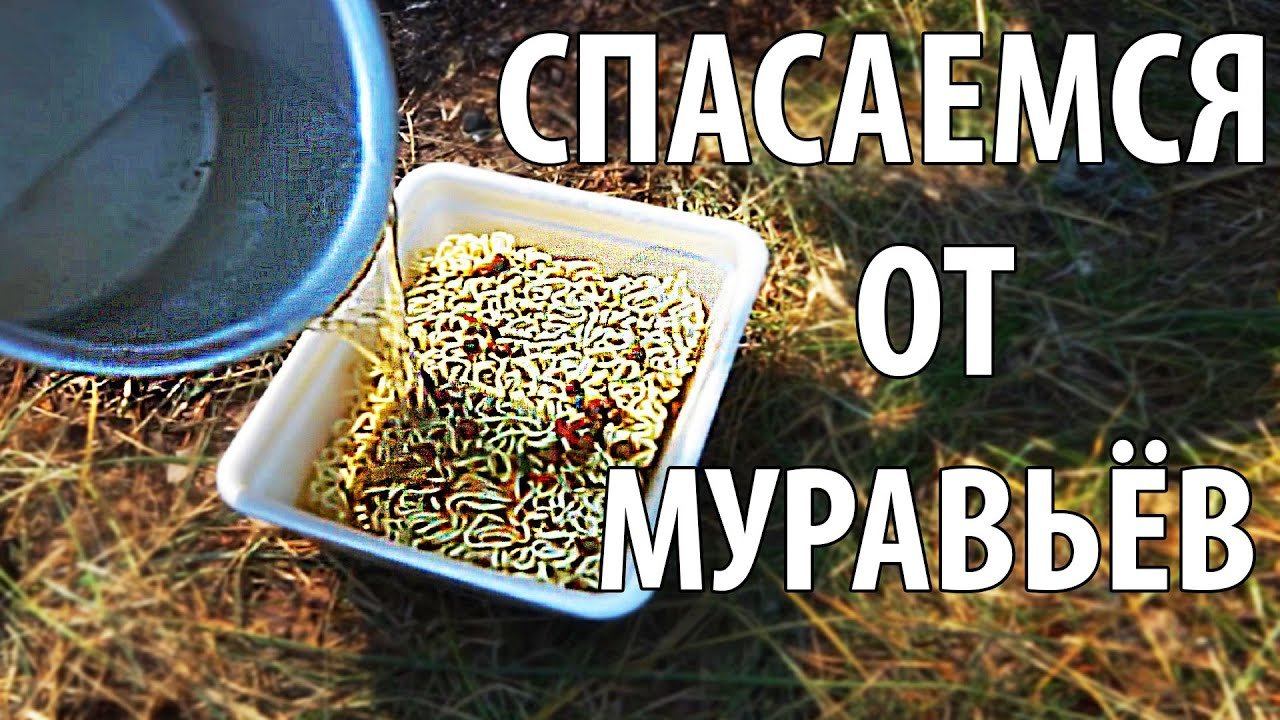 ВЫЖИВАНИЕ в ЛЕСУ. Защищаемся от муравьёв, строим дом