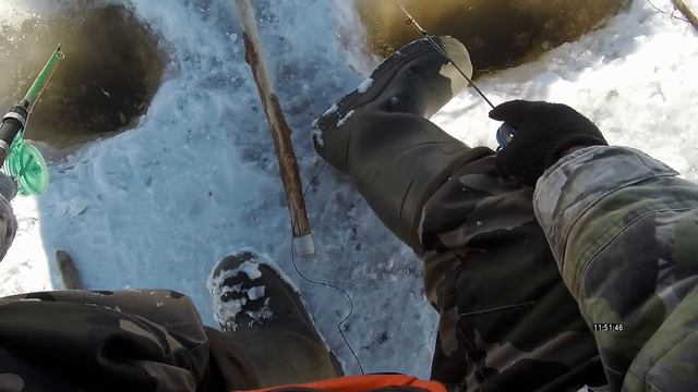 Рыбалка на сига на Амуре , не уловимый сиг пойман. 9.03. 2020.