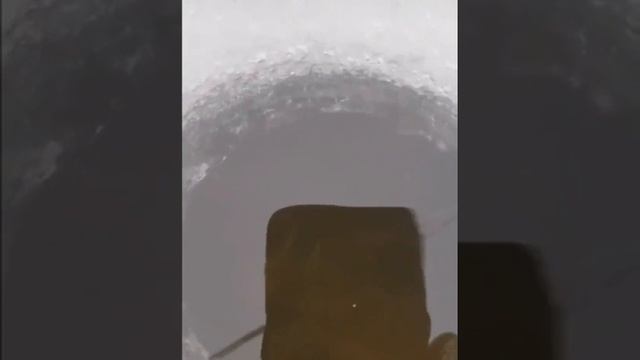 Окунь играет с балансиром.