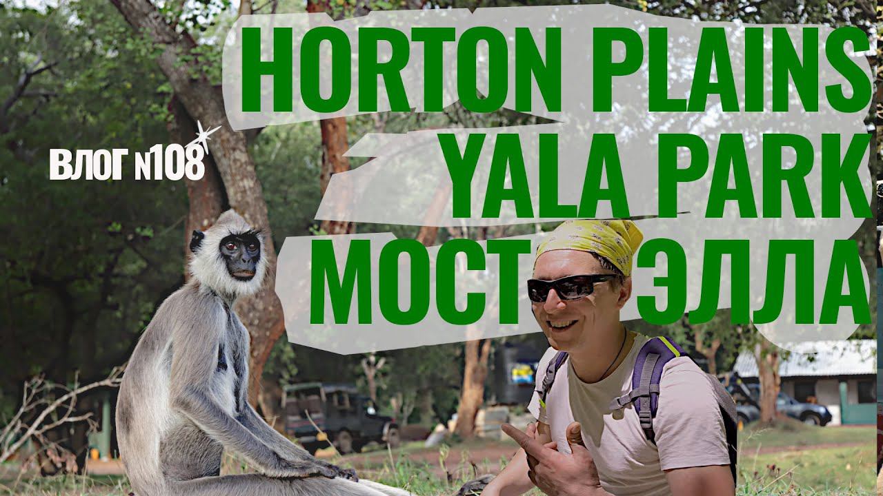 Влог №107. Замануха? 3 главных тур места Шри-Ланки: Хортонc, мост в Элла, парк Yala. Проверено!