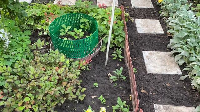 Полы залиты, плитка уложена, кашпо для лобелии готово.