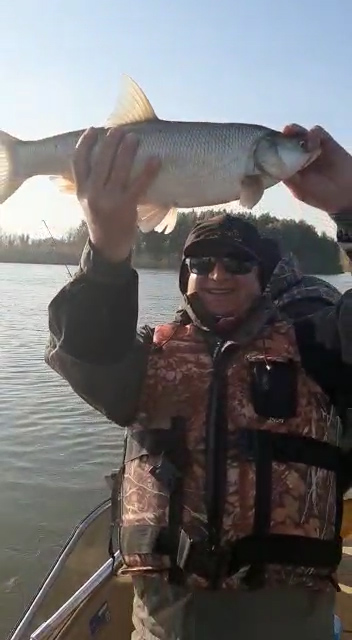 КАК КРАСИВО ИДЁТ! ... Маленькие судачки позвали большого папу и крупную тетю!