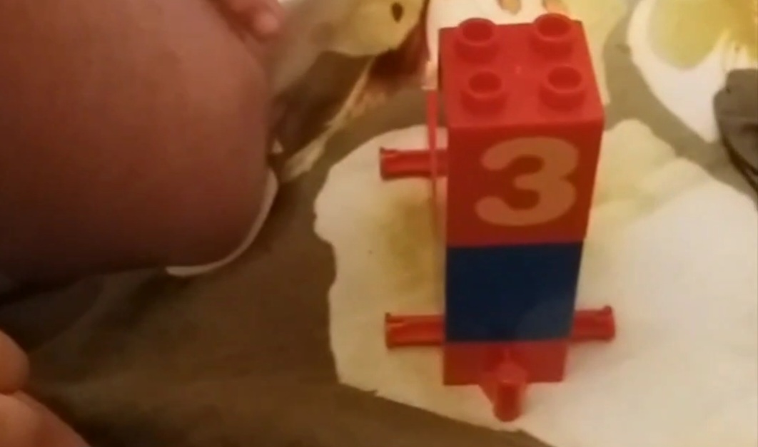 Антошка картошка 1 годик играет в конструктор ???