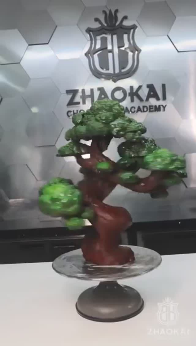 Greeting Pine Bonsai