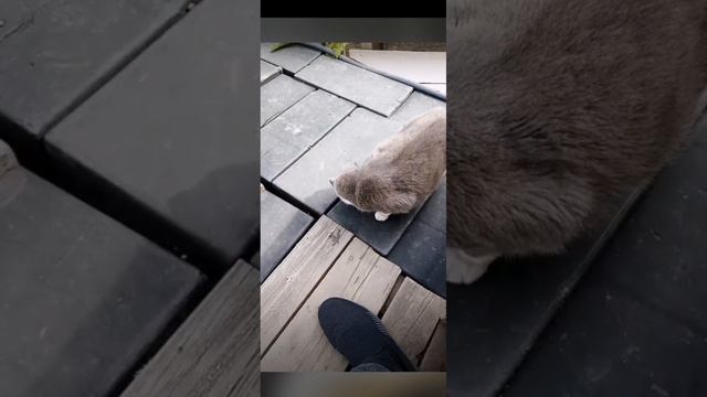 Пьяный Чапа рыбу ловит ок лайфа