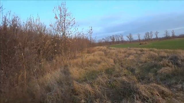 18+Охота _заяц,вальдшнеп.фазаны (бакс продакшн и гоп компания).mp4