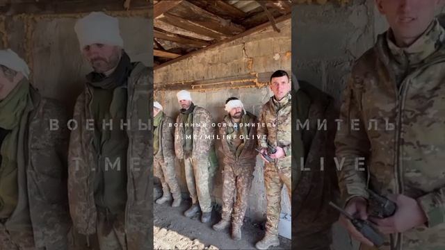 Группа украинских военнослужащих была взята в плен в ходе штурма позиций ВСУ бой