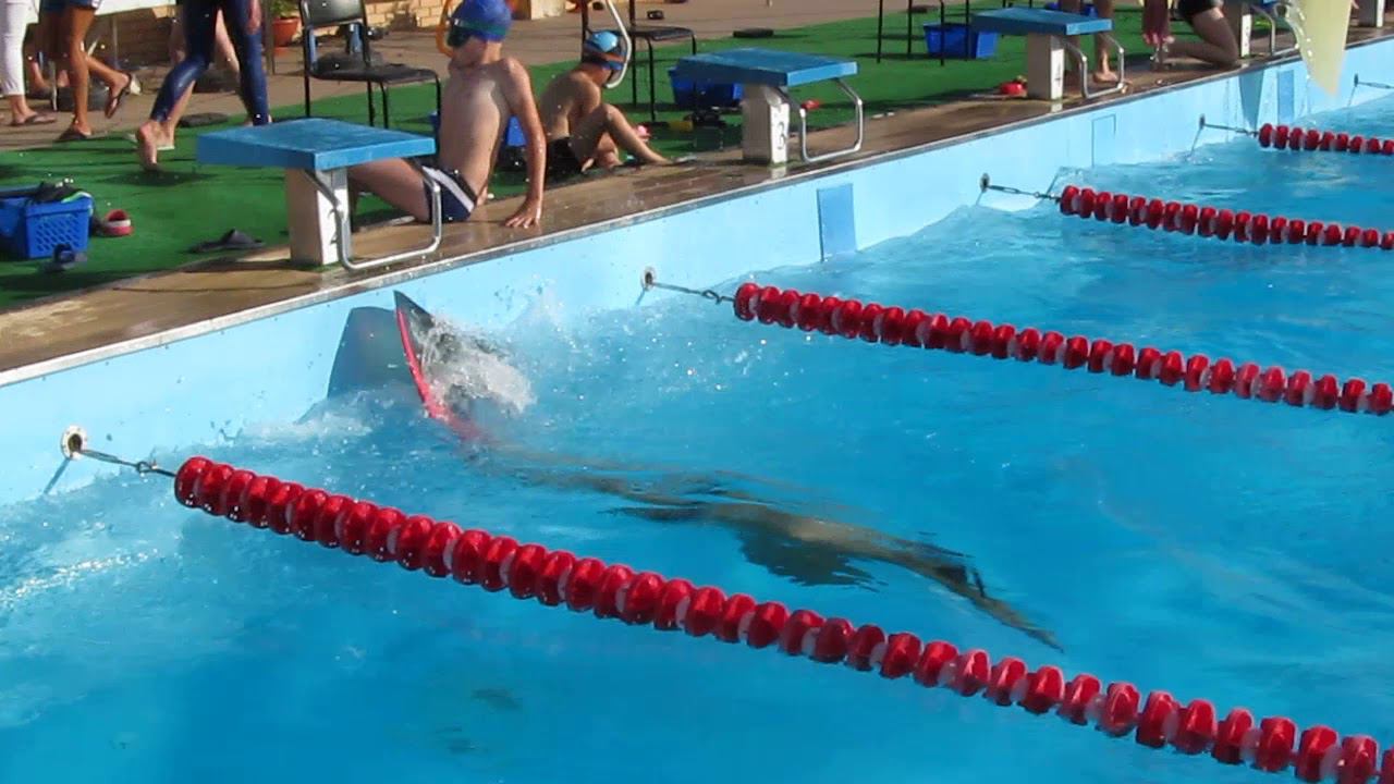 10.06.2019. Открытое первенство РО по плаванию в ластах. 200 метров