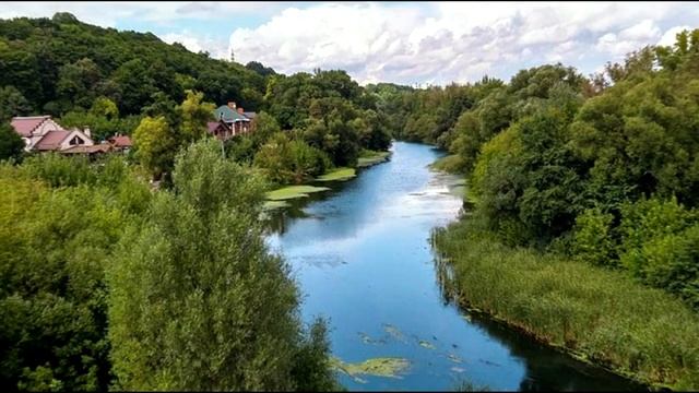 Что делать, если вы заблудились в лесу