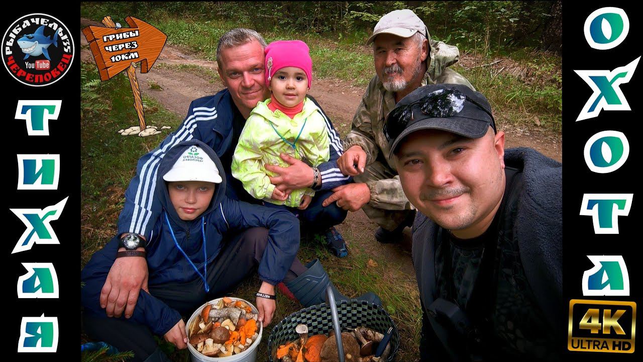 Моя ПРИНЦЕССА первый раз в жизни в лесу! Собираем грибочки! ГрибаЧелы35 на тихой охоте,август 2023г.