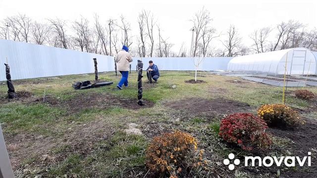 Укрыли саженцы. Барбекю. Рынок.mp4