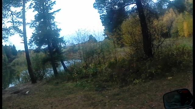 Просто покатушка на квадре по осеннему лесу