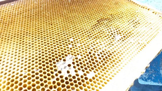 Продолжаем стимуляцию 9.03.2023