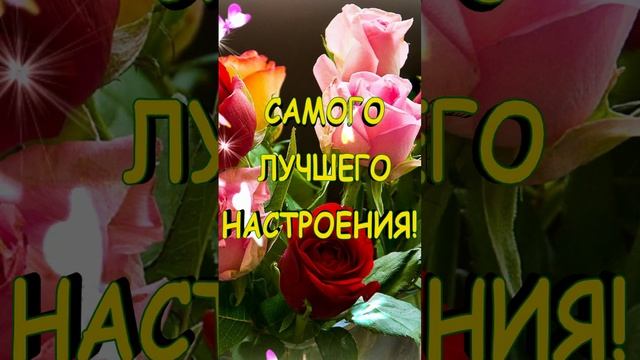 ДОБРОЕ УТРО.mp4