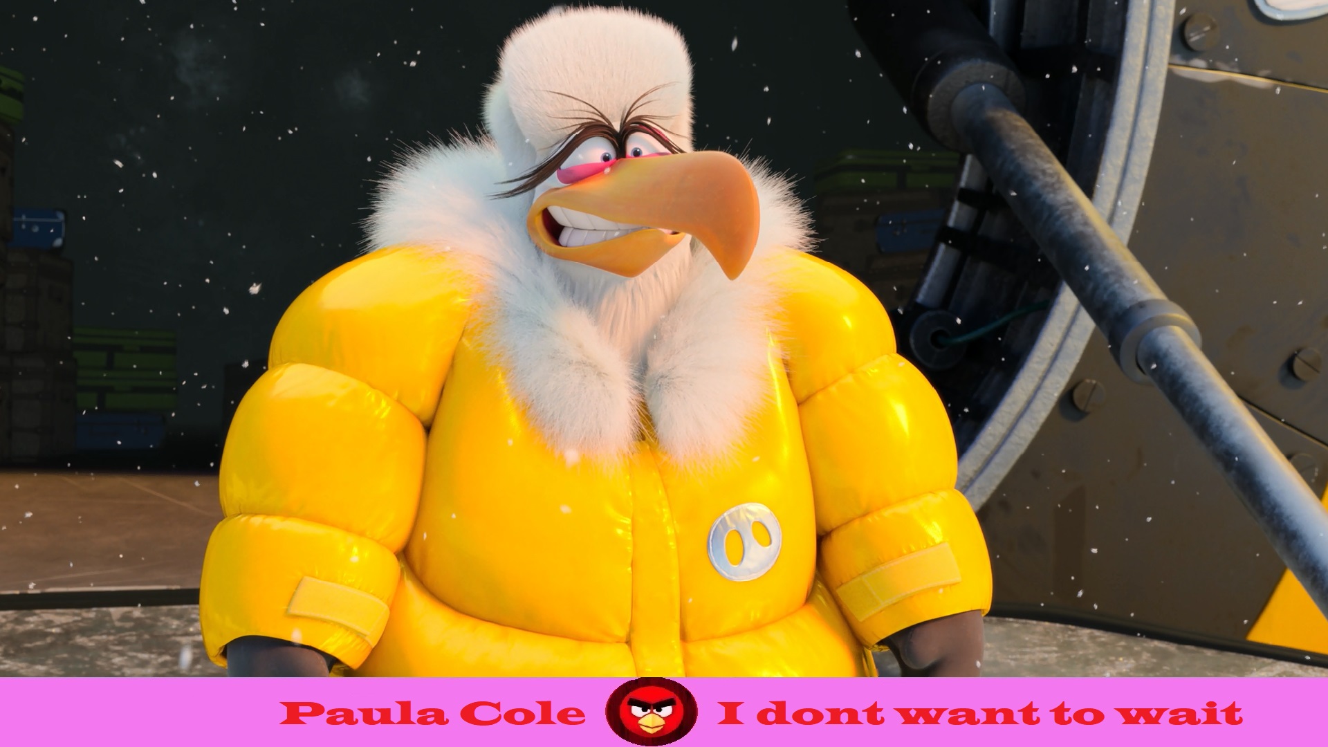 09. Paula Cole - I dont want to wait