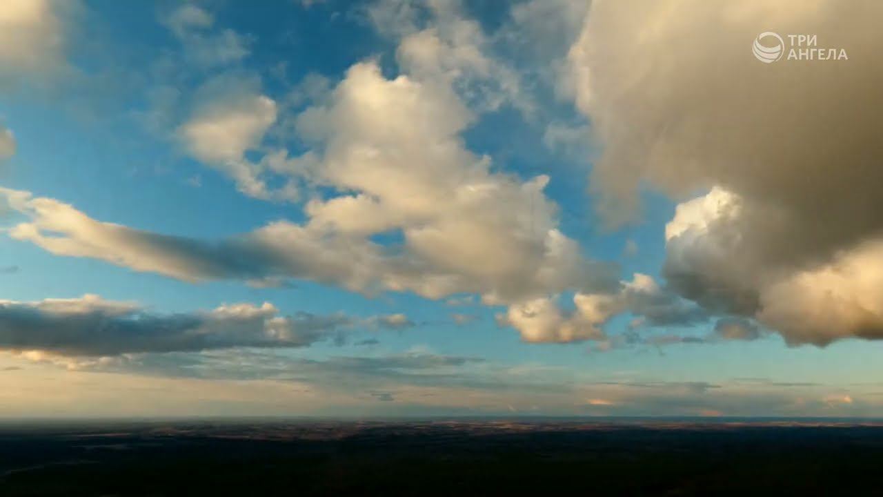 Весенний ролик | Библия и природа