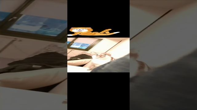 а кто это спрятался