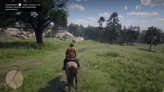 Red Dead Redemption 2｜Прохождение без комментариев｜PC｜#20