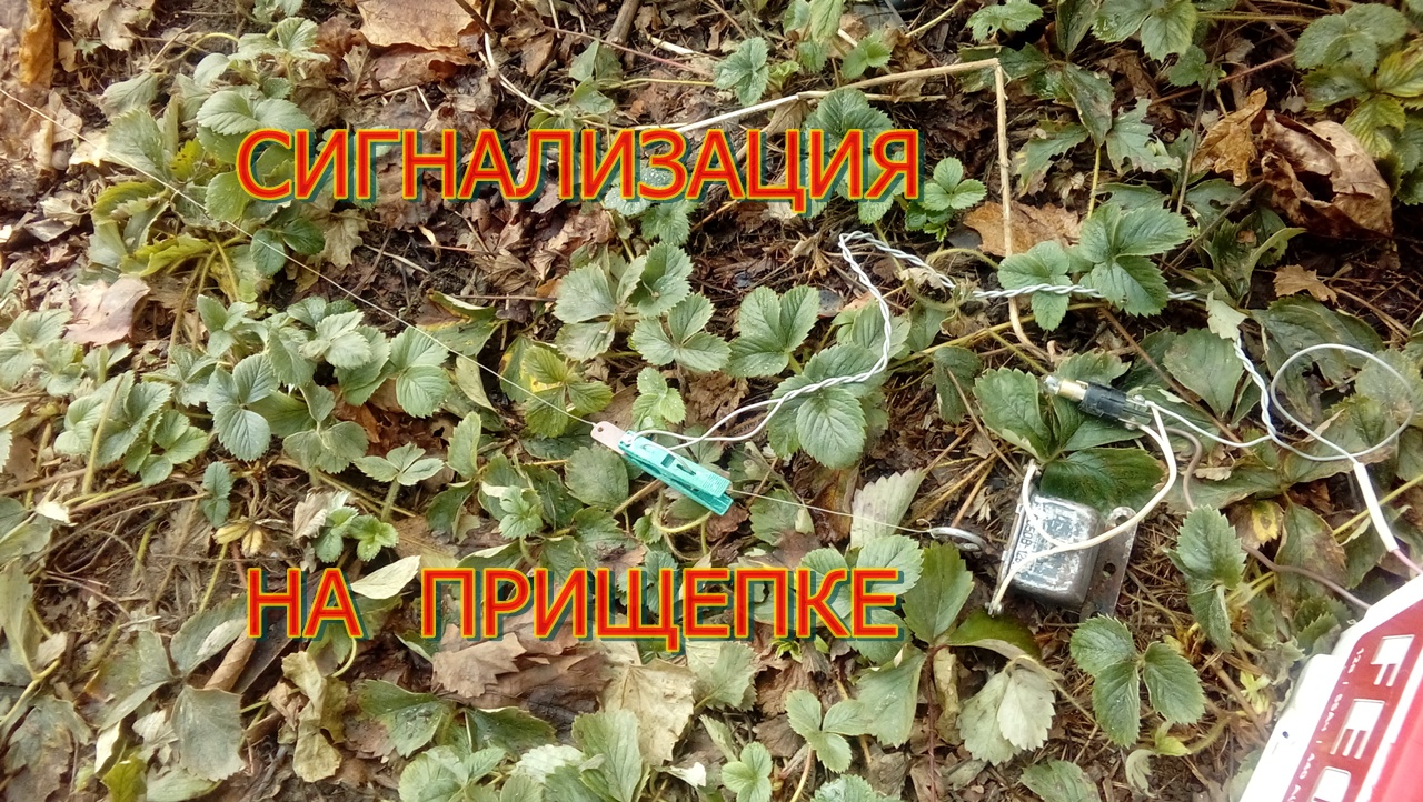 Простейшая сигнализация из прищепки, лески и лампочки