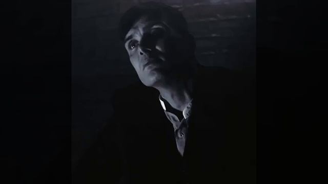 Toms shelbie   "A kan fly"