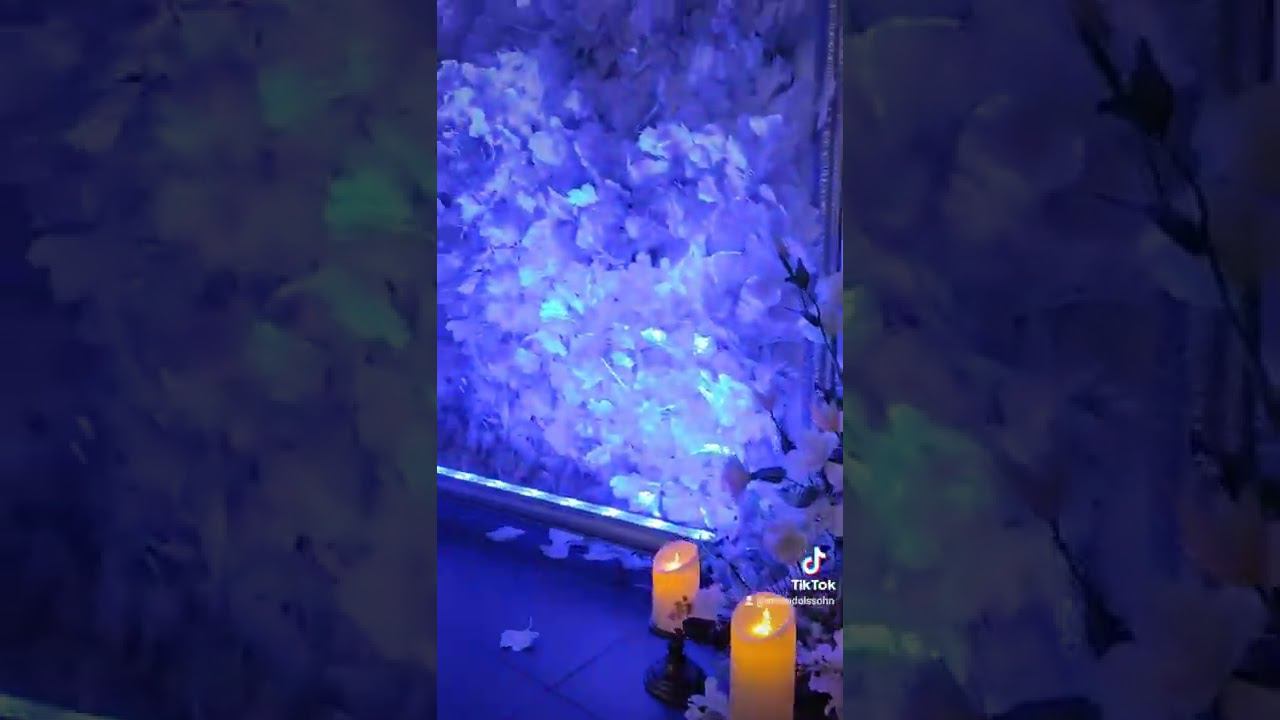 Свадебная фото зона в Москве.